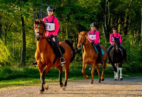 Events - Bramham Park